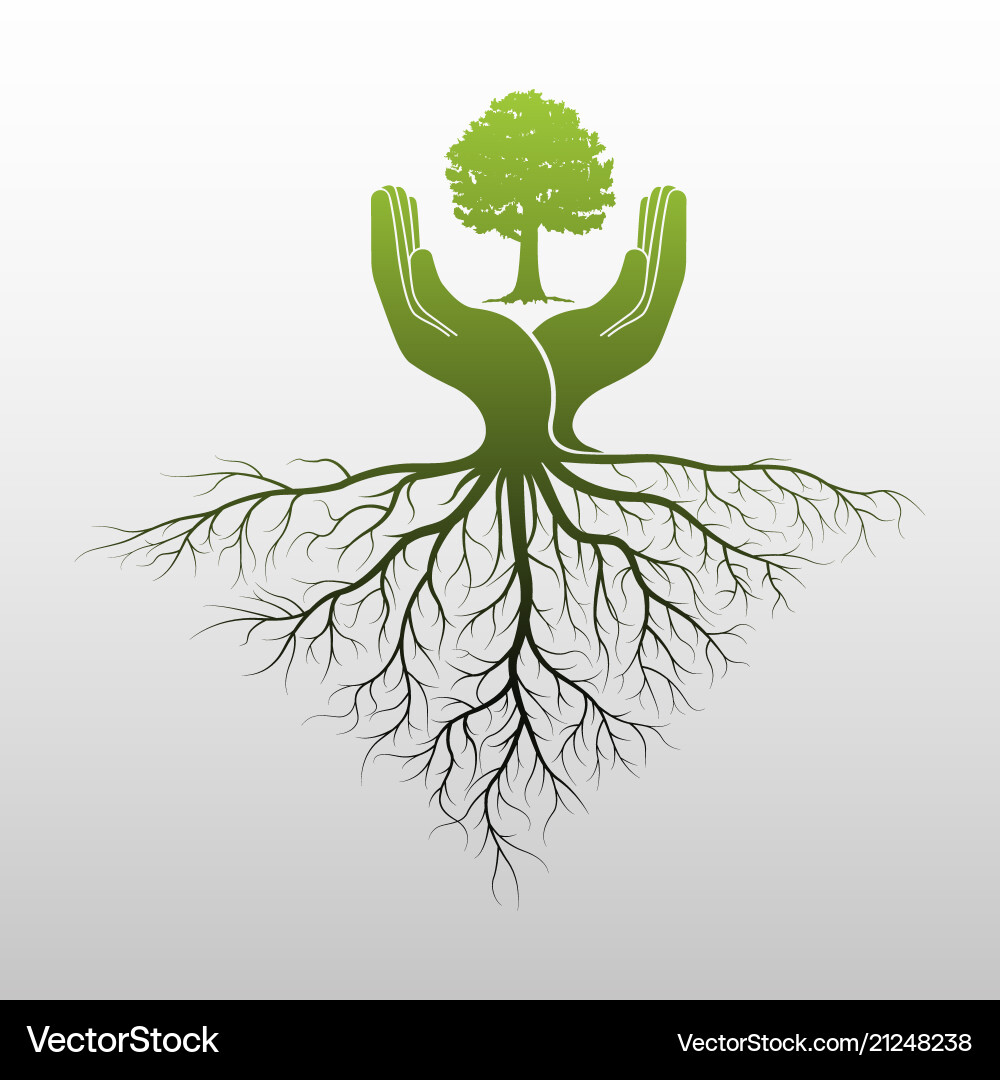 Green tree logo Royalty Free Vector Image - VectorStock
