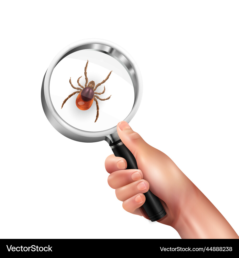 Realistic spider mite lens composition Royalty Free Vector