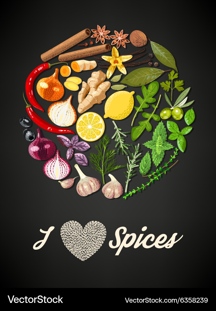 Circle of spices Royalty Free Vector Image - VectorStock