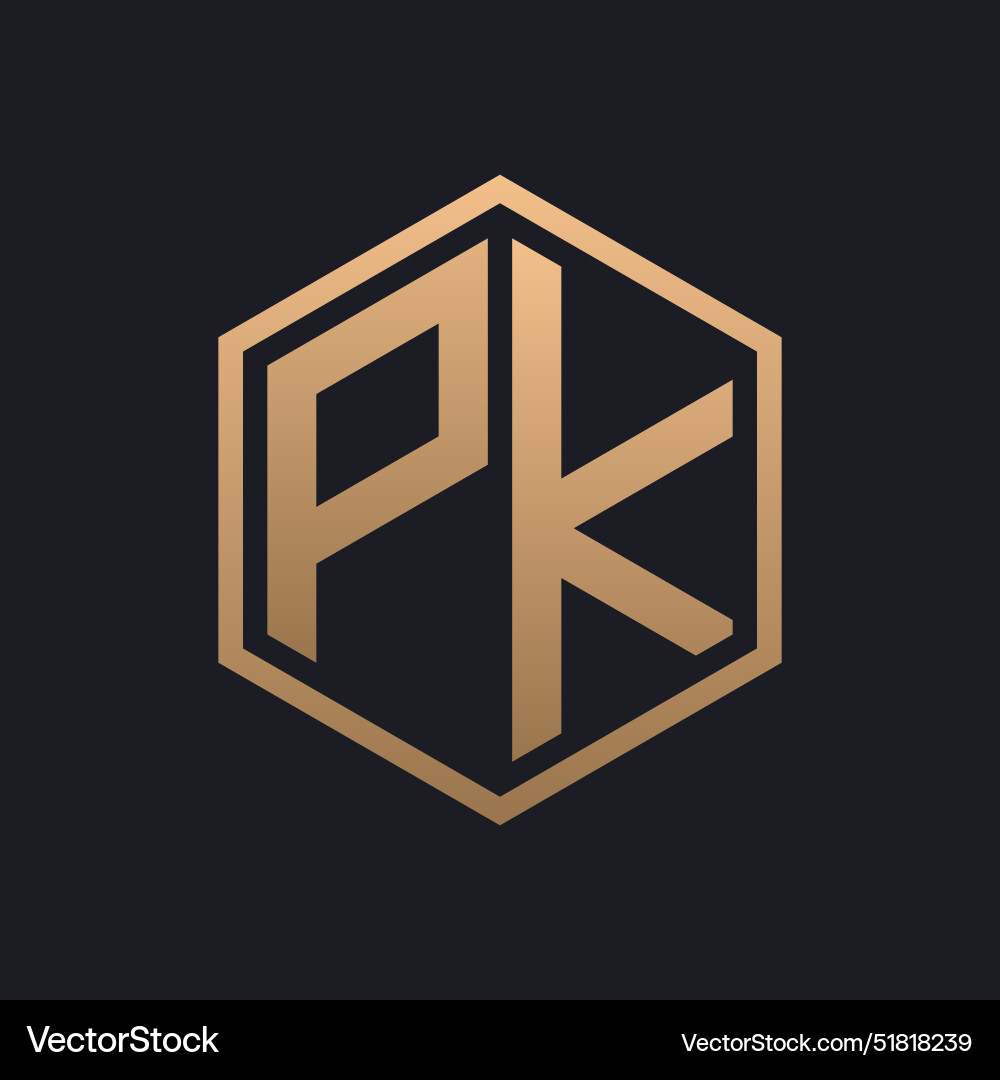 Elegant hexagon letter pk logo design initial Vector Image