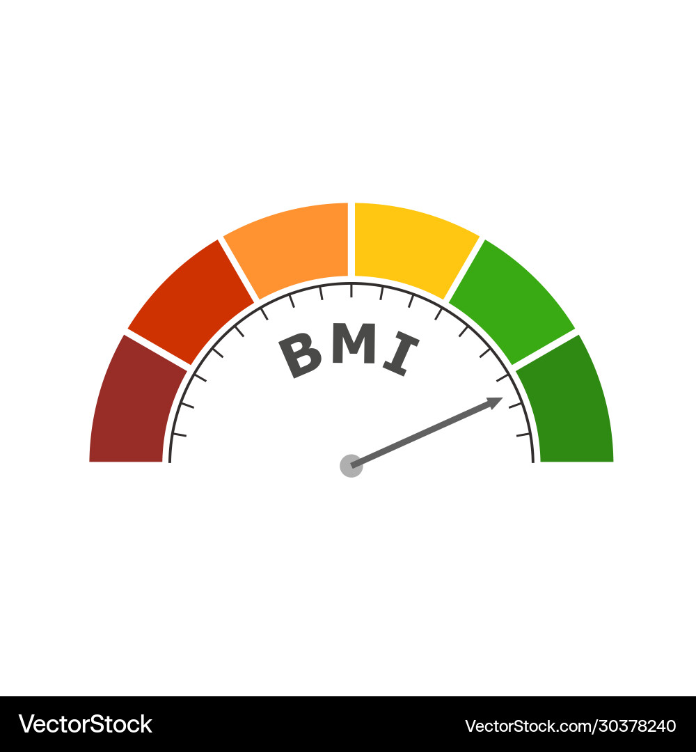 Body Mass Index (BMI) Gauge Royalty Free Vector Image
