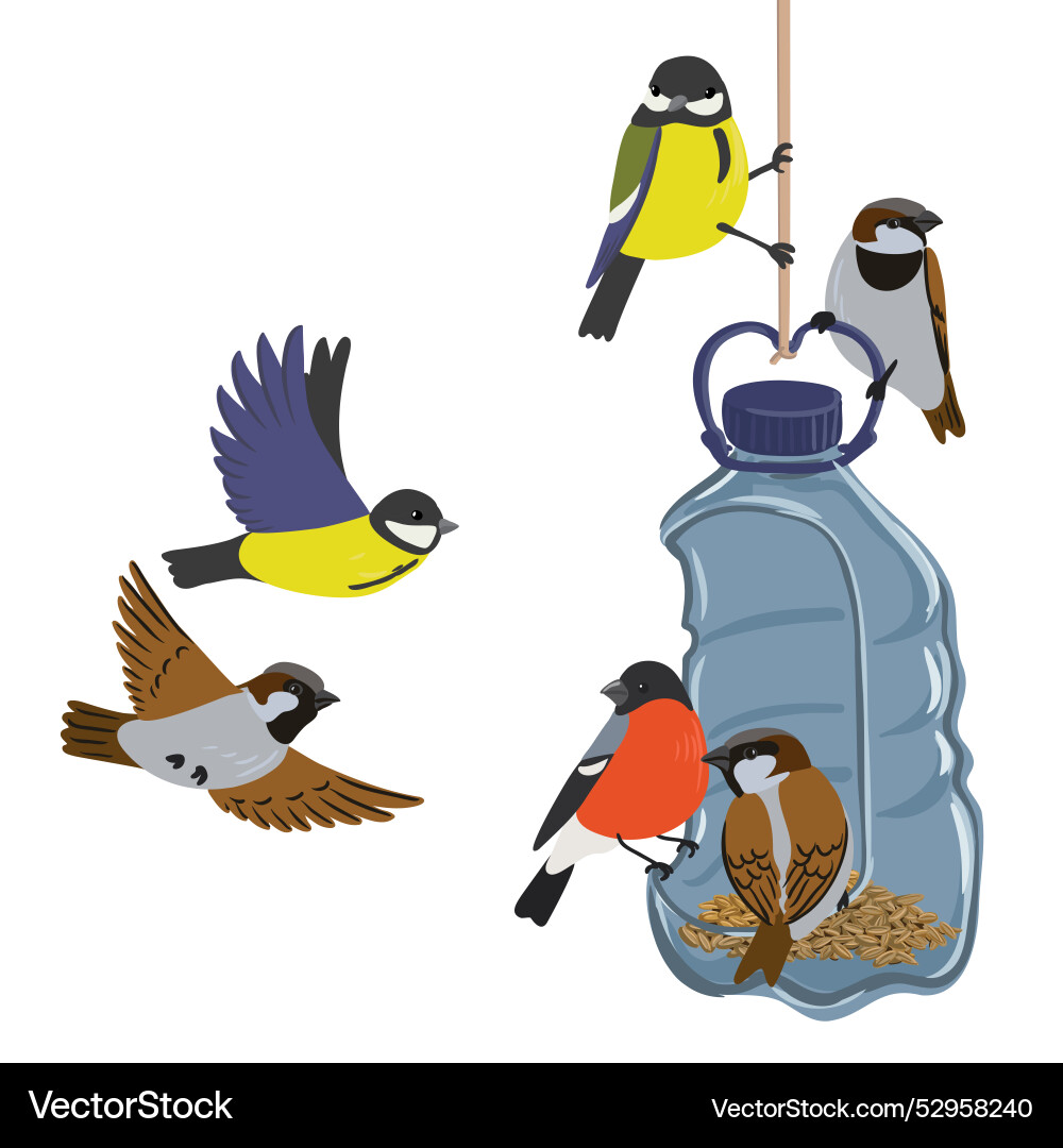 Drawing bird feeder Royalty Free Vector Image - VectorStock