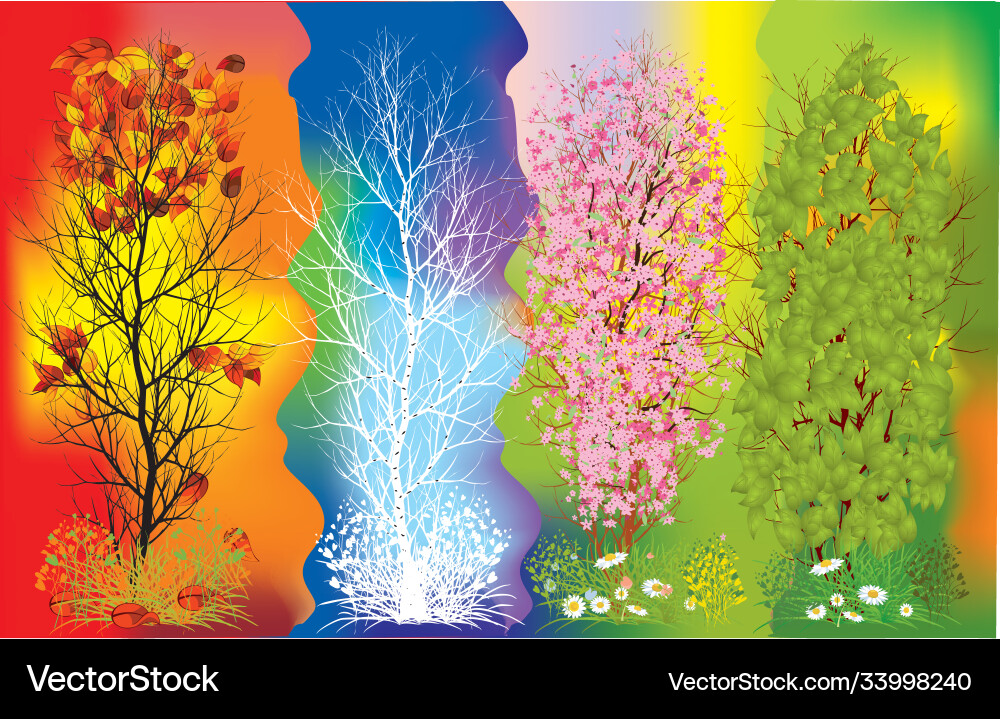 Four seasons Royalty Free Vector Image - VectorStock