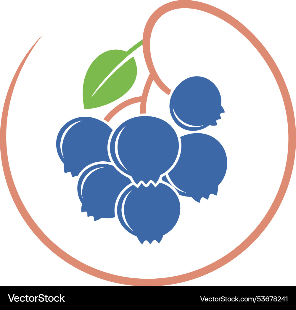 Blueberry Royalty Free Vector Image - VectorStock