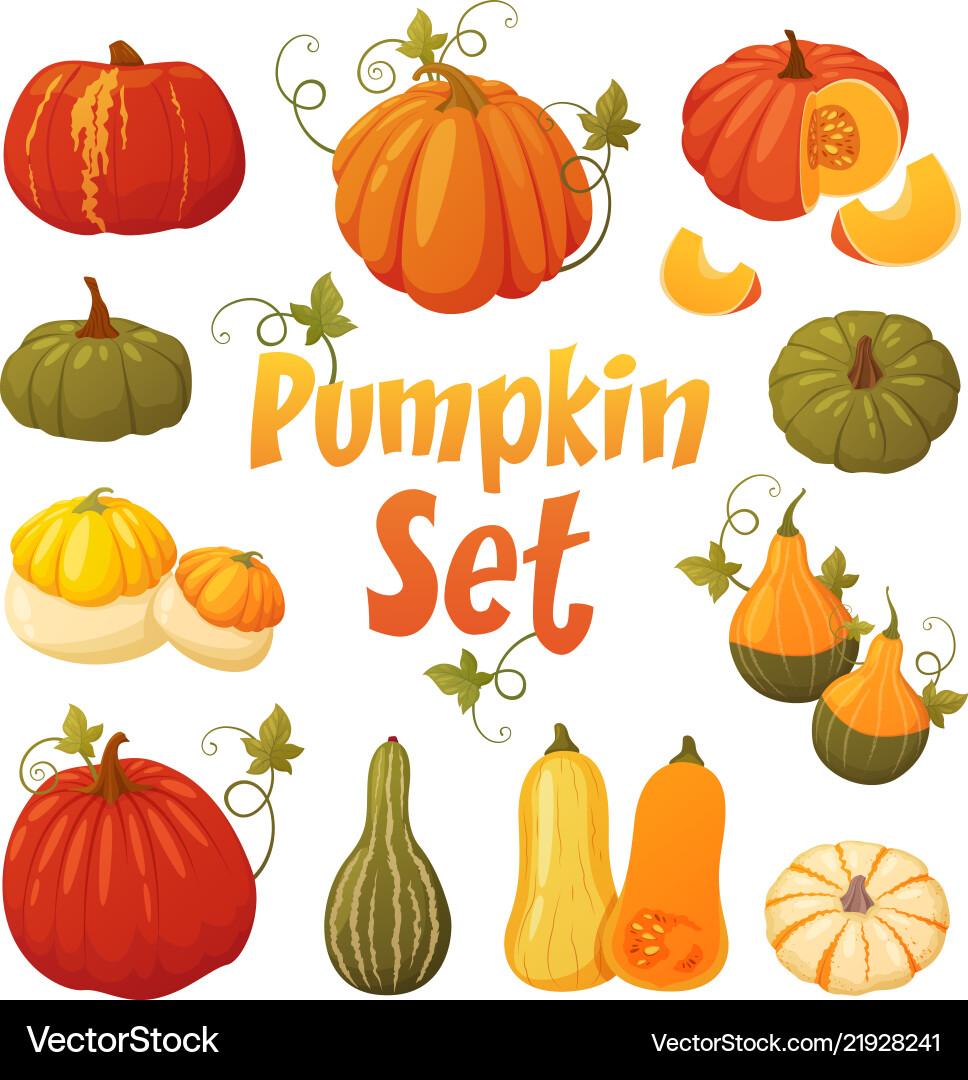 Colorful pumpkin set Royalty Free Vector Image