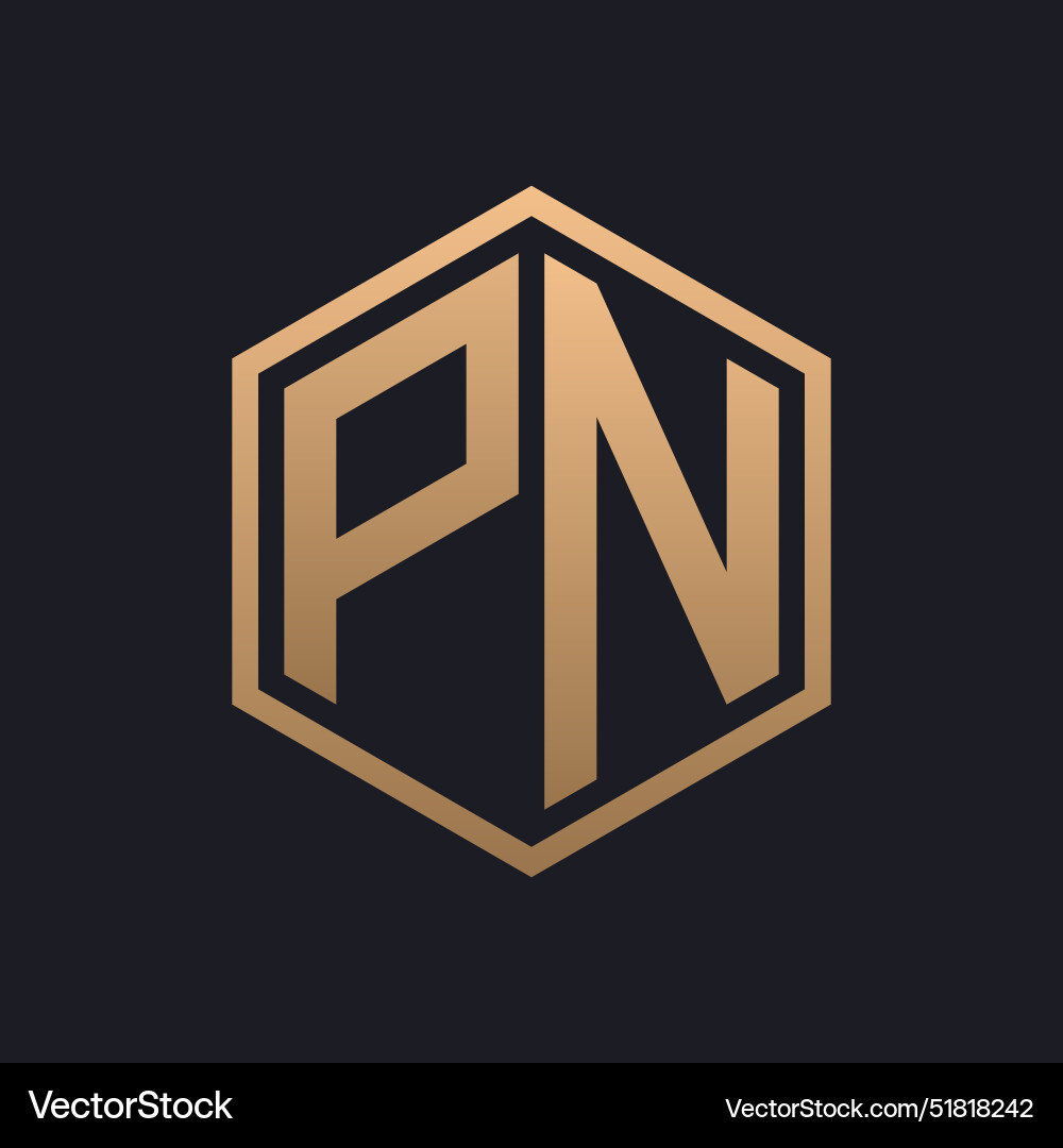Elegant hexagon letter pn logo design initial Vector Image