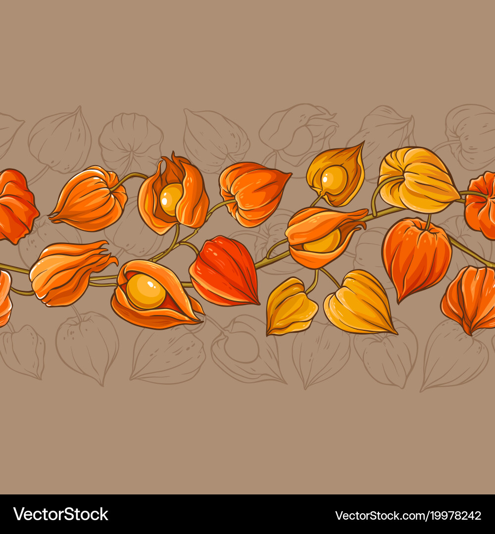 Physalis pattern Royalty Free Vector Image - VectorStock