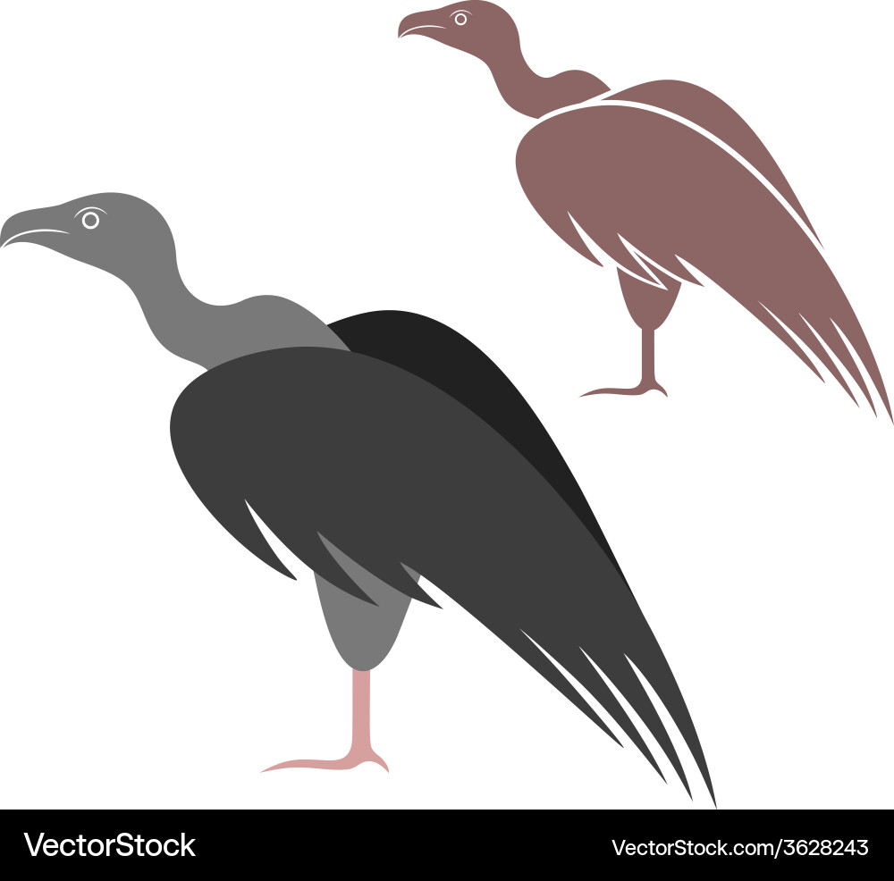 Vulture Royalty Free Vector Image - VectorStock