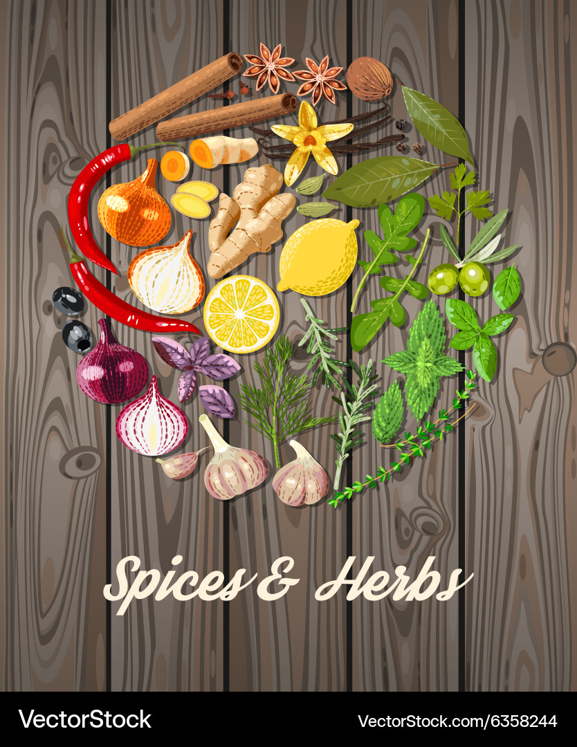 Circle of spices Royalty Free Vector Image - VectorStock