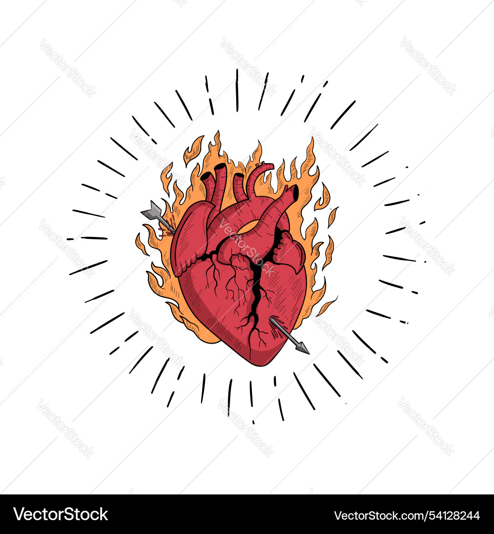 Hand drawn of heart burning Royalty Free Vector Image
