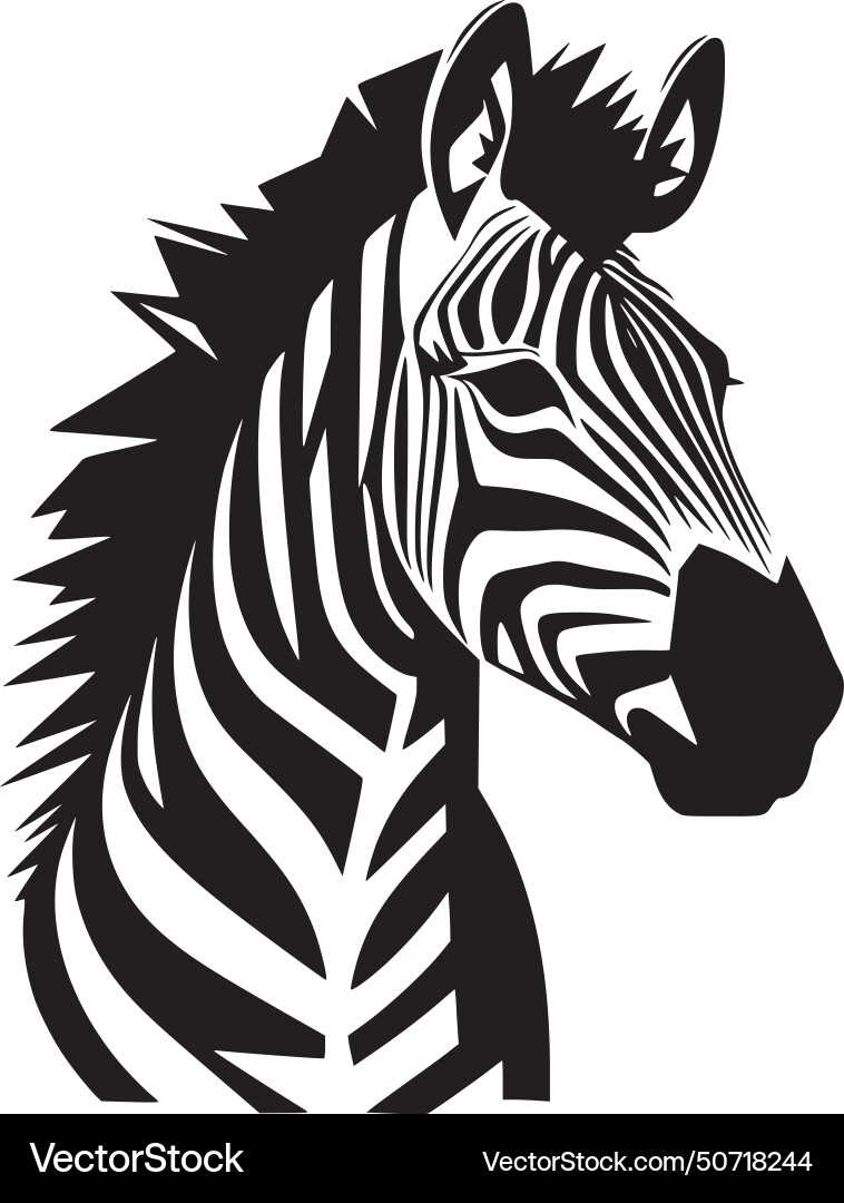 Zebra - black and white Royalty Free Vector Image