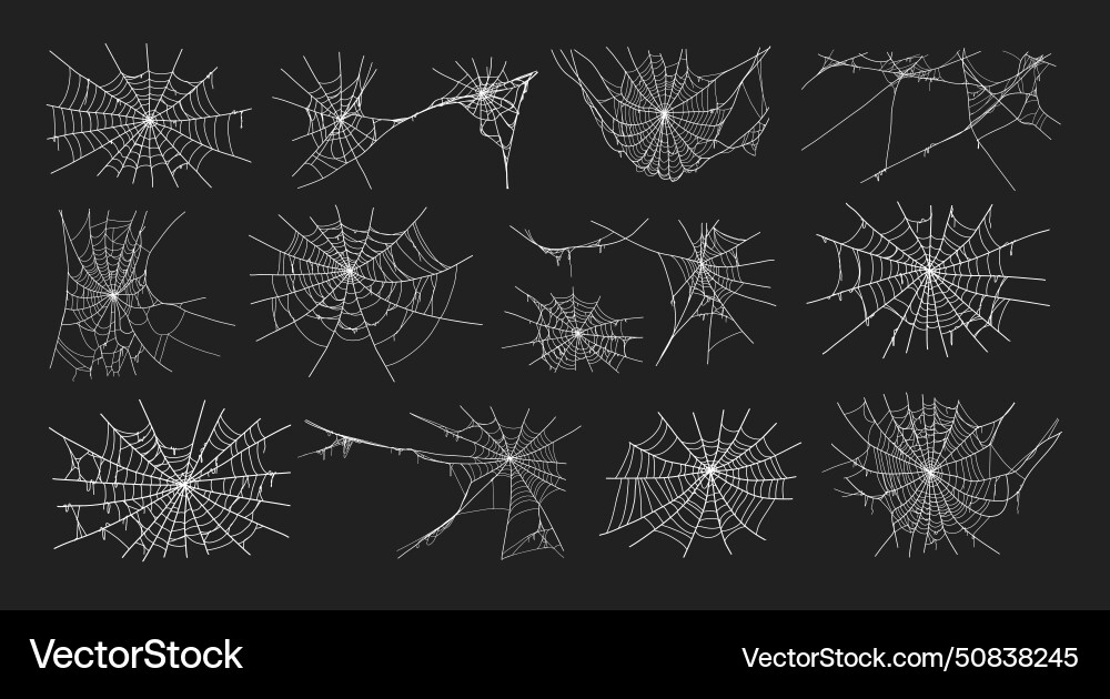 Spooky halloween old spider web with various sizes