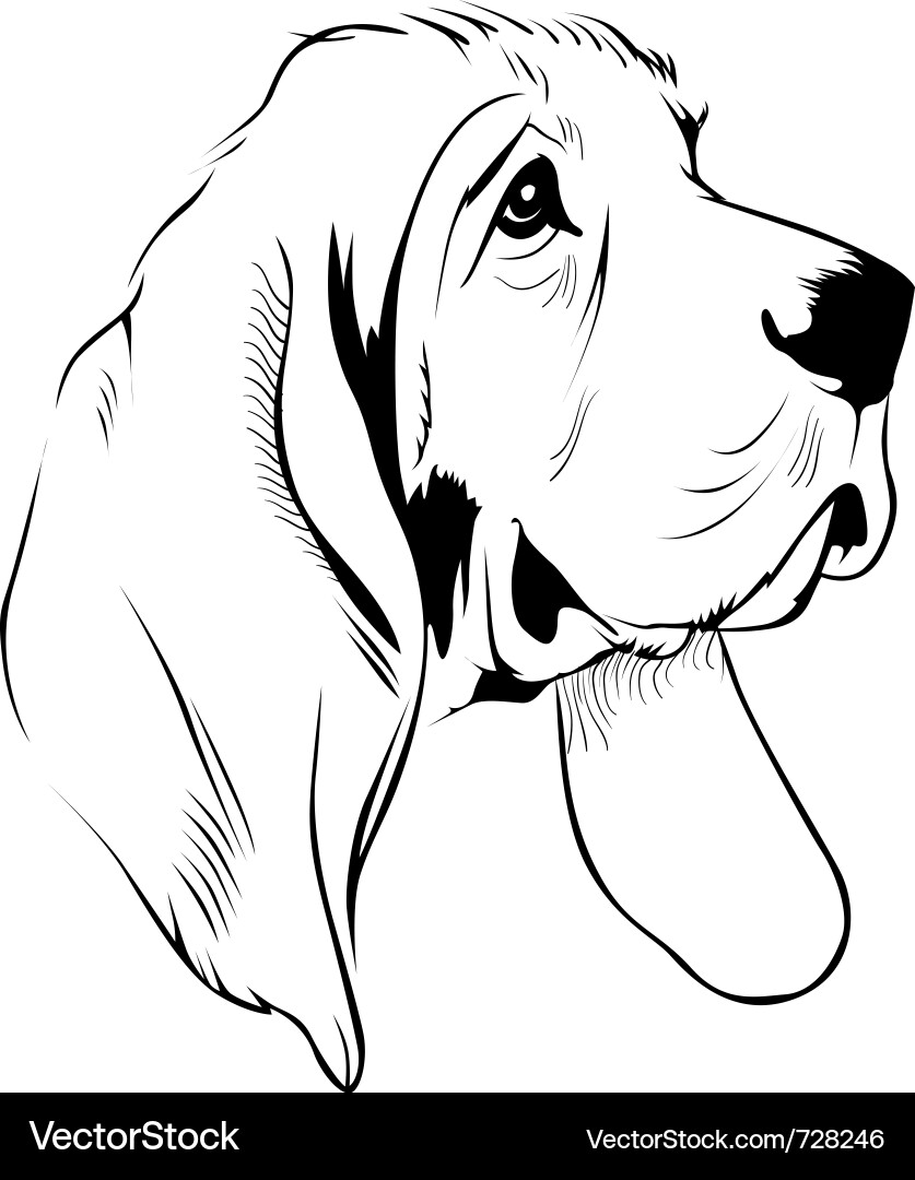 Dog face Royalty Free Vector Image - VectorStock