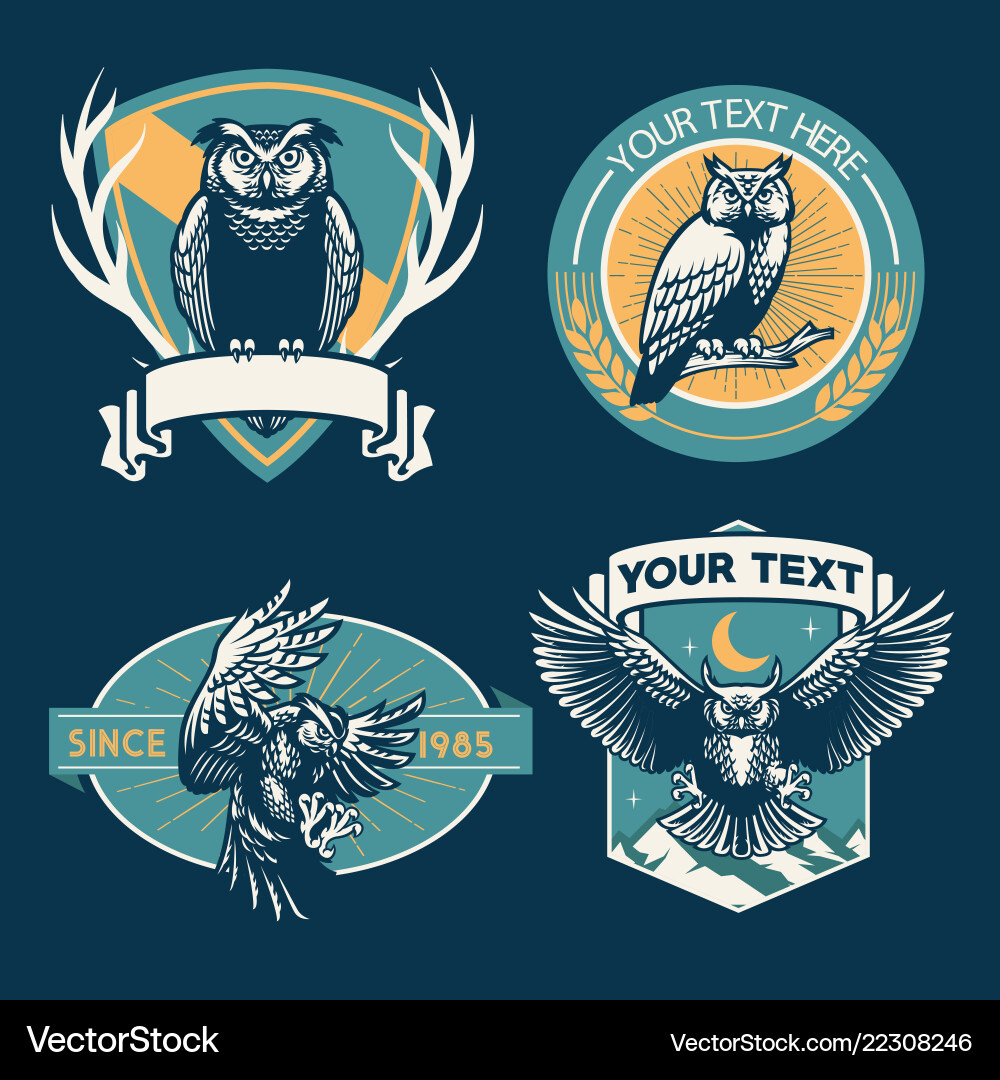 Attacking Owl Vector Images (over 360)