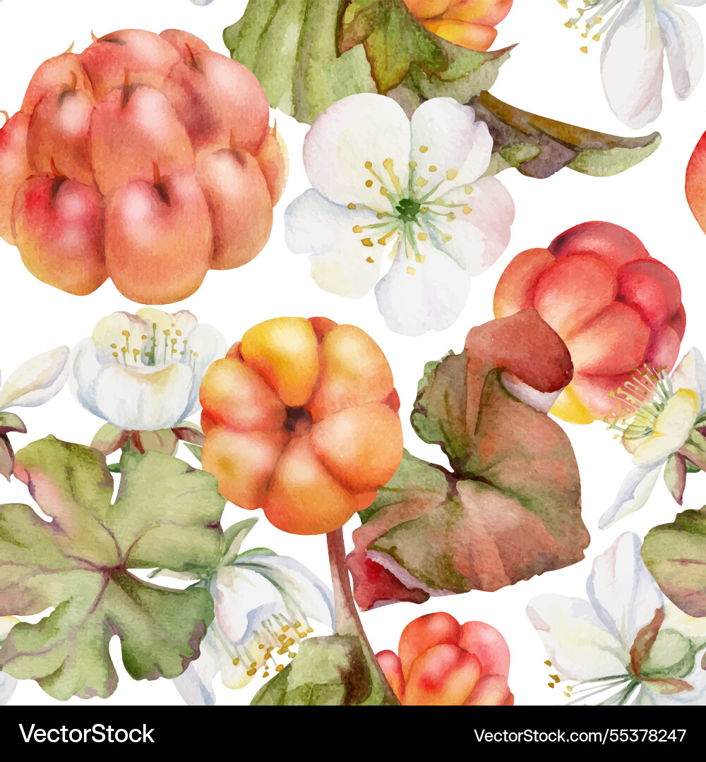 Cloudberry raspberry white flowers autumn leaves Vector Image