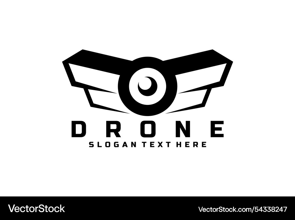 Drone logo icon black and white design art Vector Image