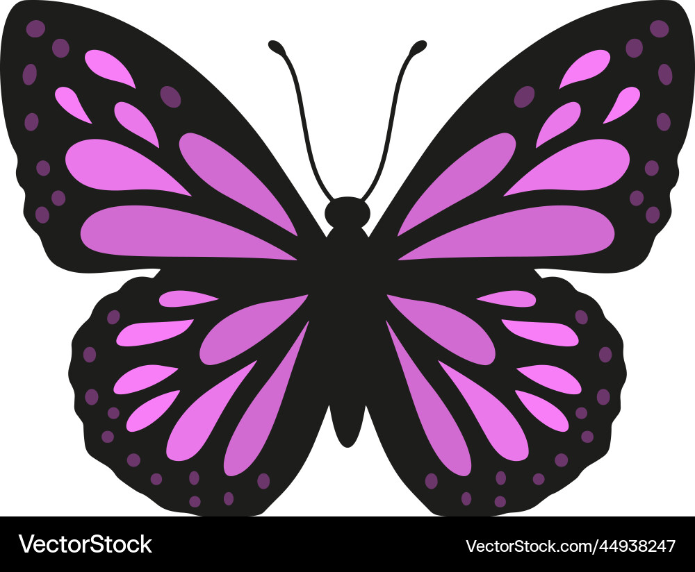 Purple Butterfly Drawing Poster Purple Butterfly Flying – Wall Art