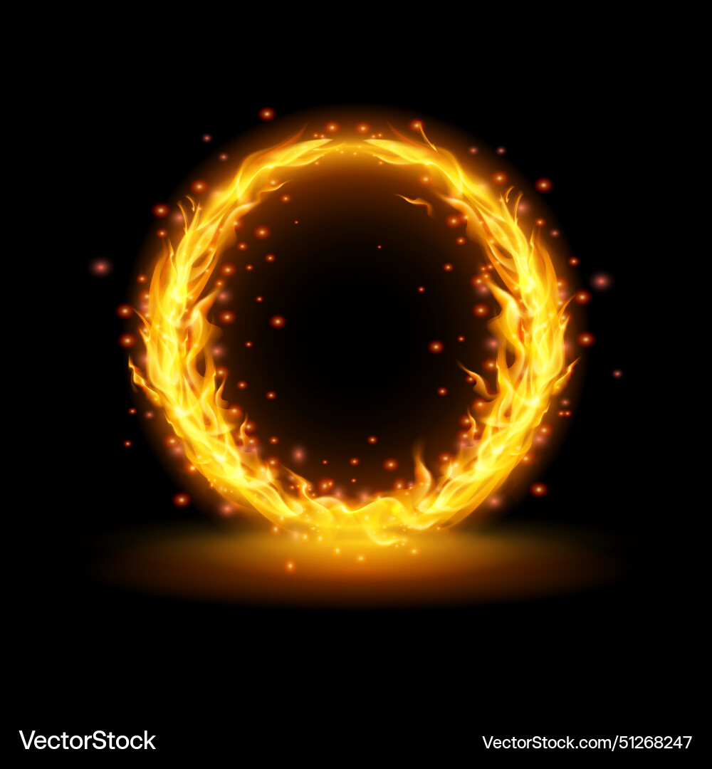 Realistic round fiery framefire circlering Vector Image