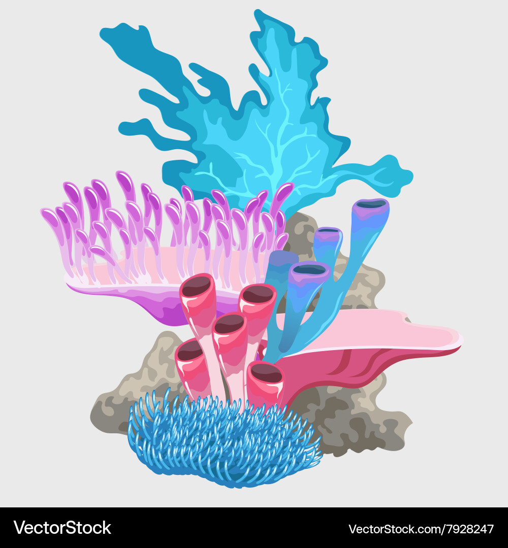 Reef for decorate locations and other needs Vector Image