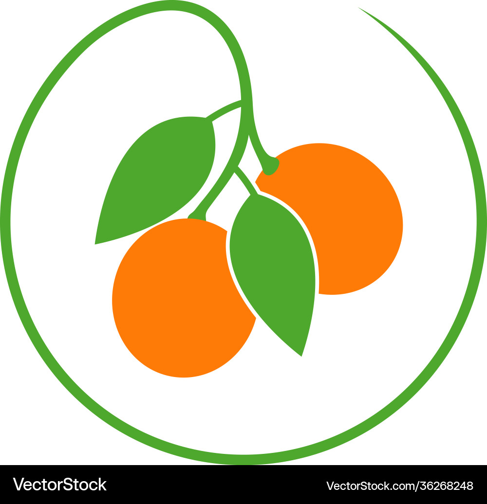 Orange Royalty Free Vector Image - VectorStock