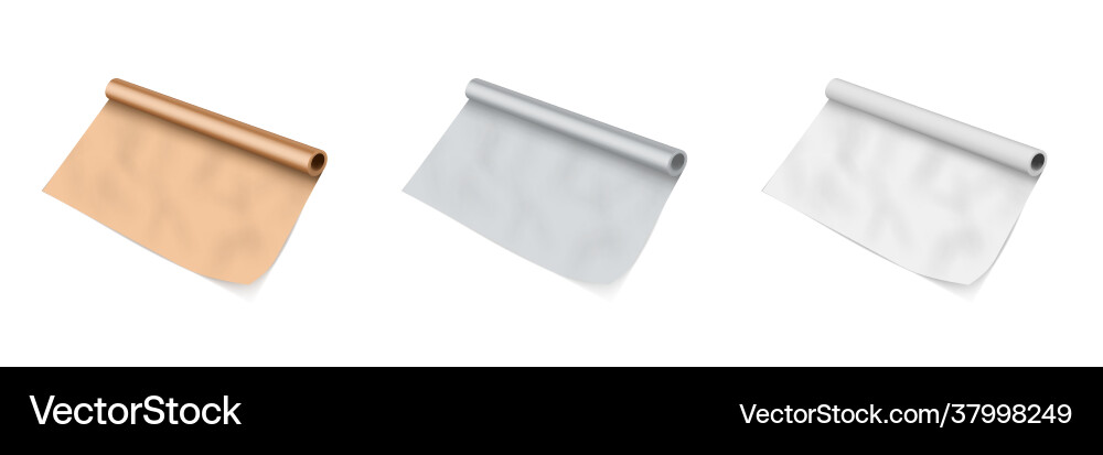 Baking Parchment and Foil Roll Royalty Free Vector Image