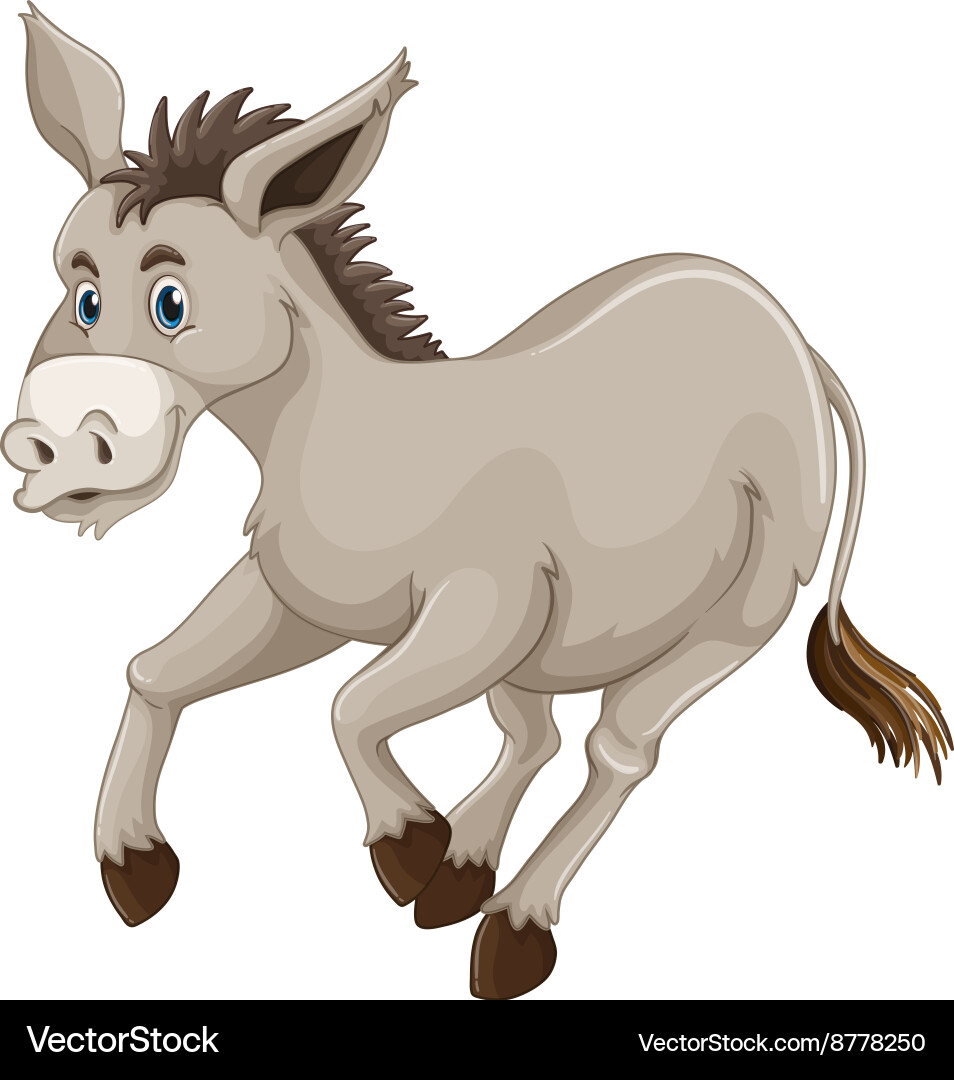 Donkey on white background Royalty Free Vector Image