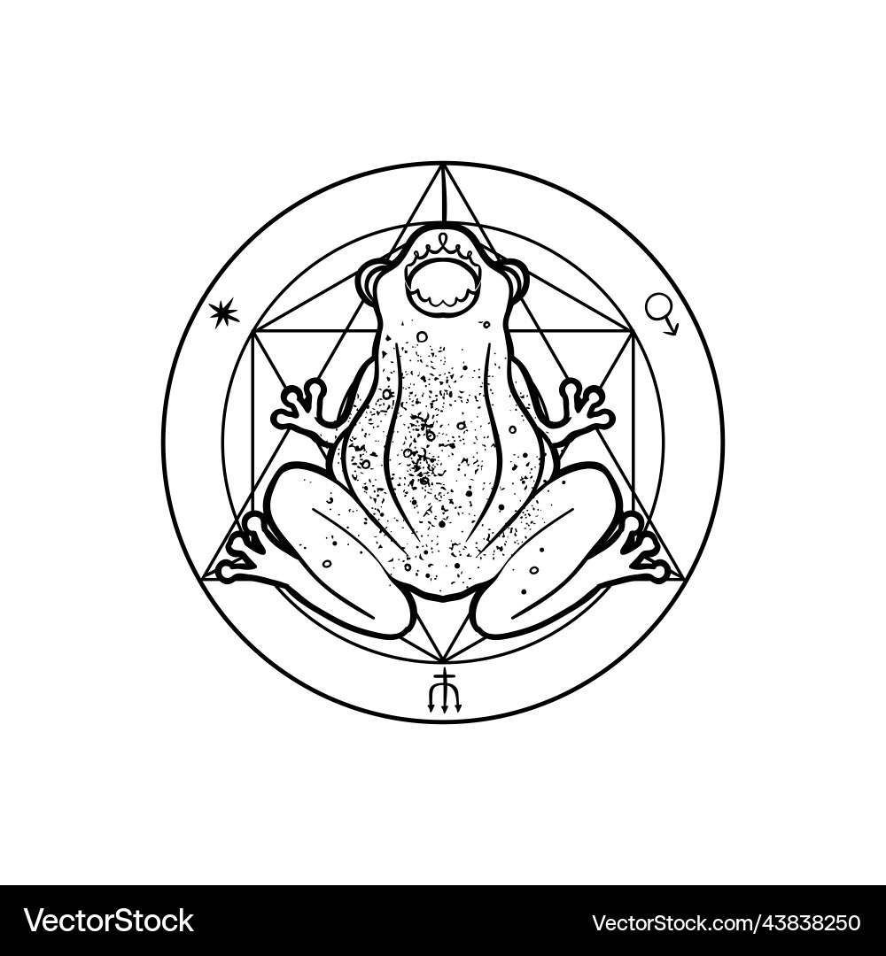 Frog over sacred geometry symbol Royalty Free Vector Image
