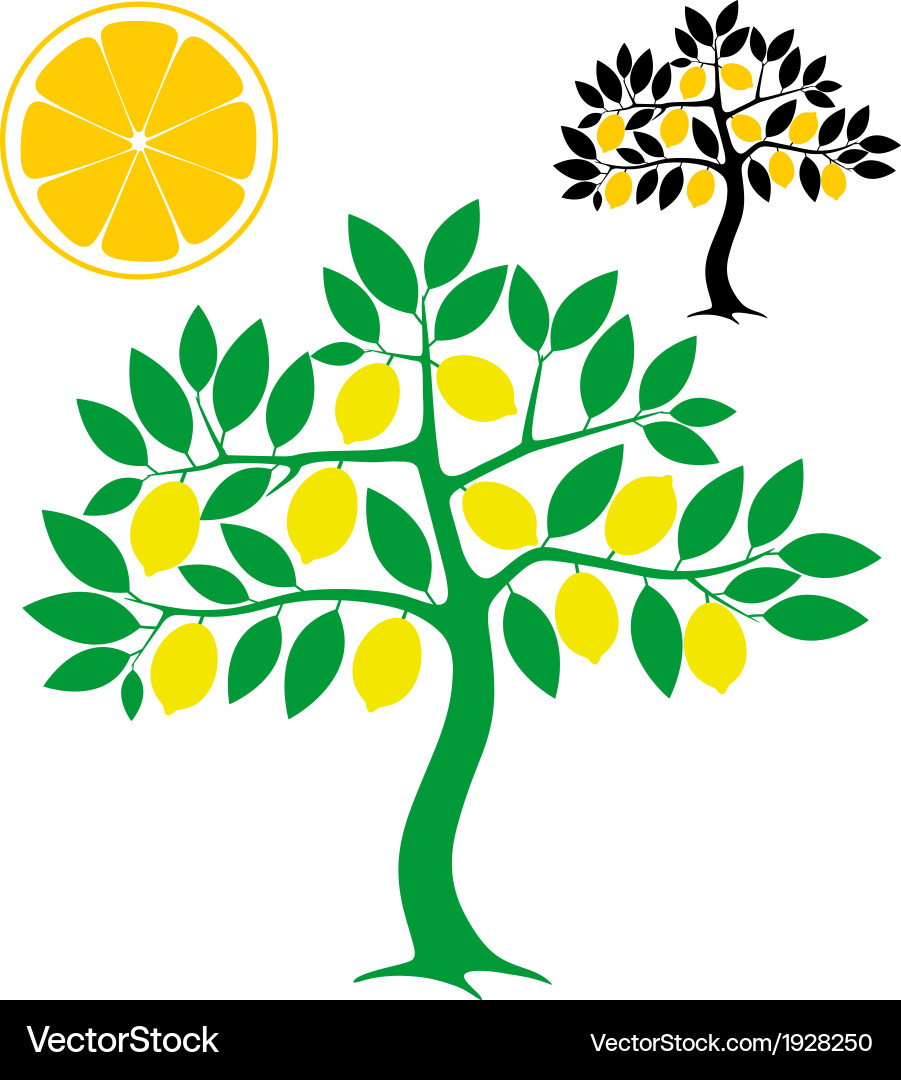 Lemon Tree Icon Vector Images (over 2,500)