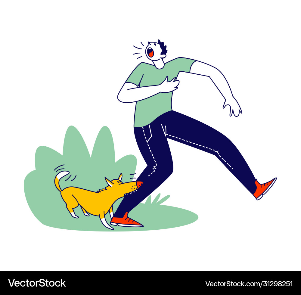 Aggressive dog biting man leg male character Vector Image