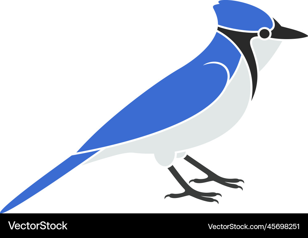 Blue jay Royalty Free Vector Image - VectorStock