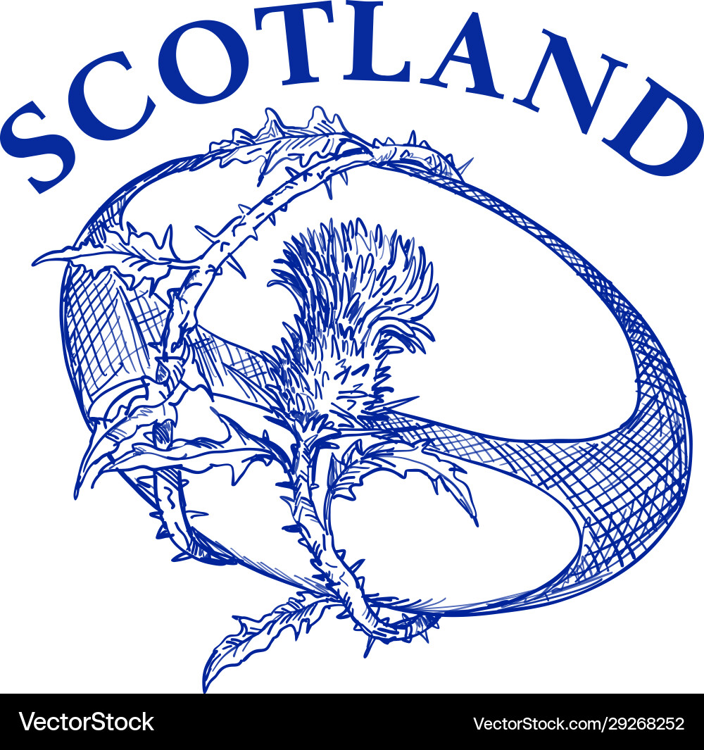 Rugby ball with thistle scotland drawing Vector Image