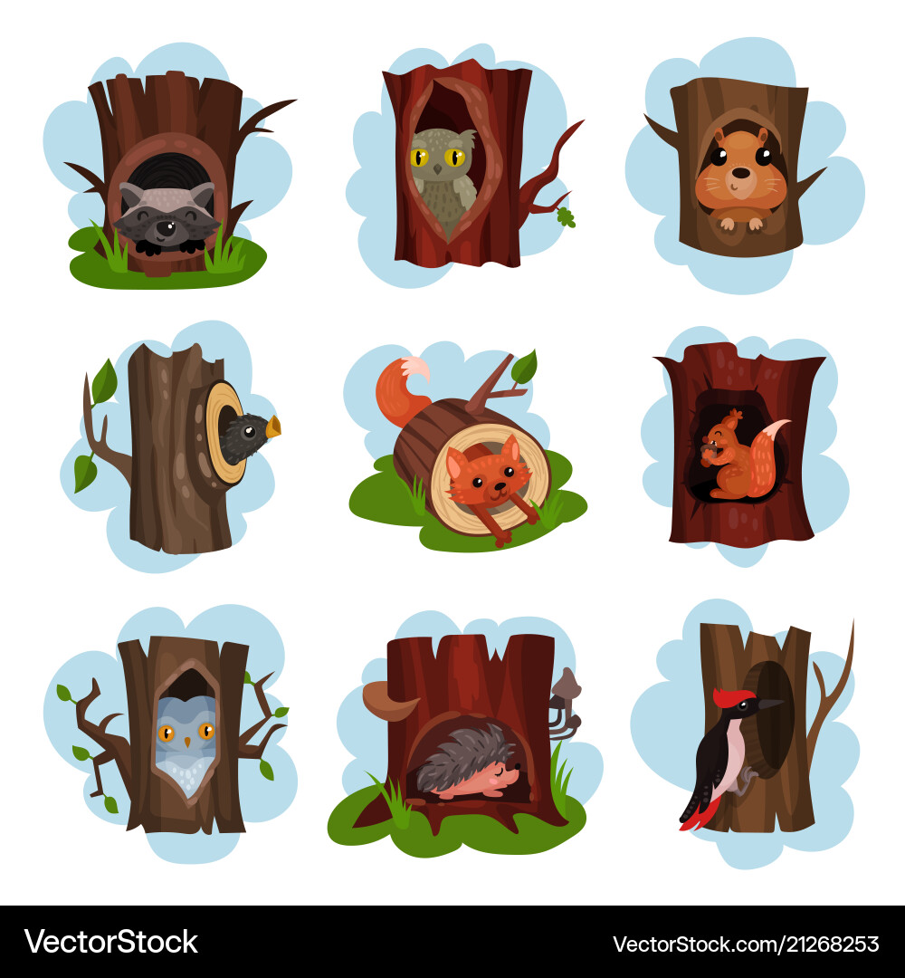 Adorable Animals in Tree Hollows Royalty Free Vector Image