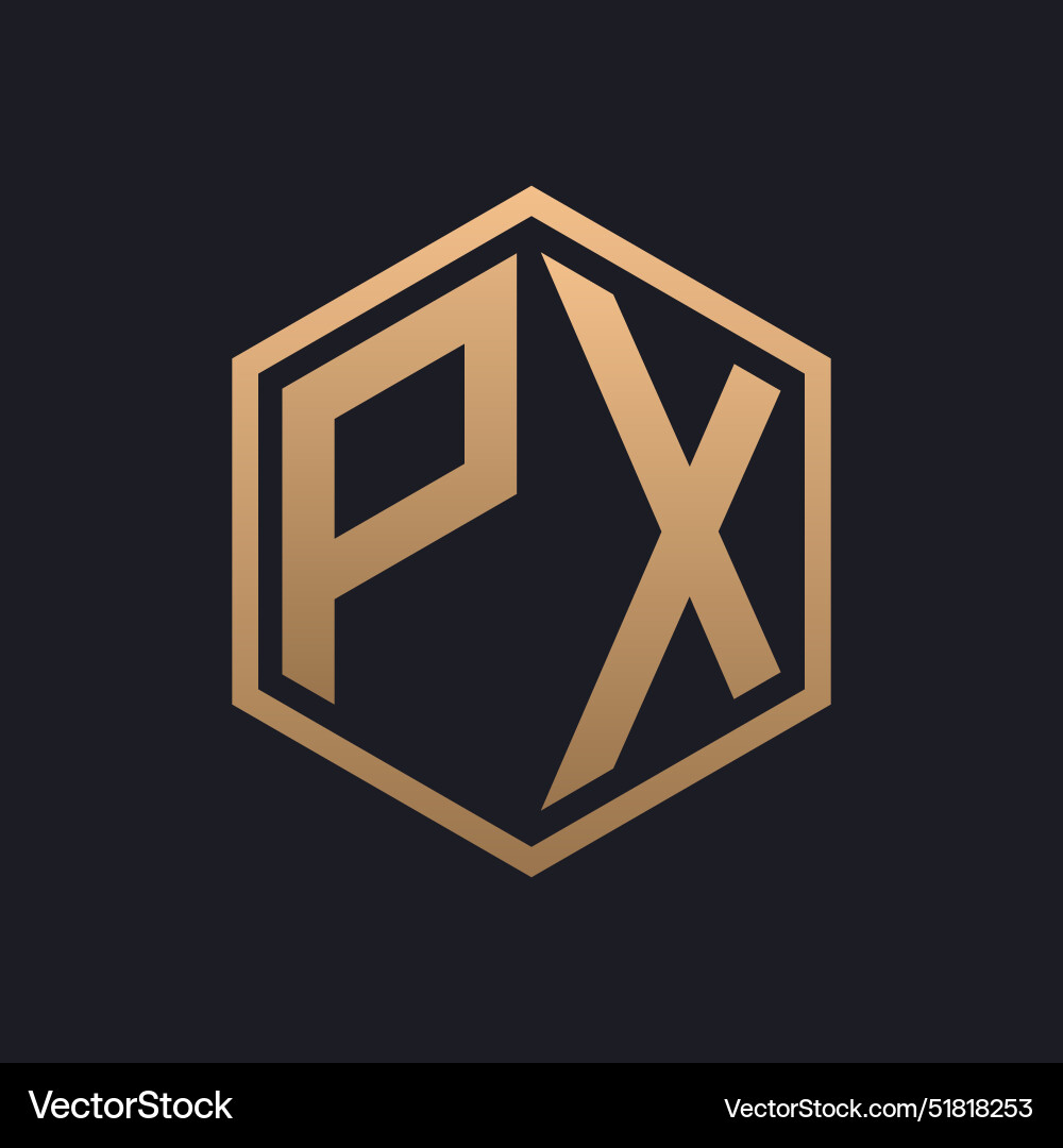 Elegant hexagon letter px logo design initial Vector Image