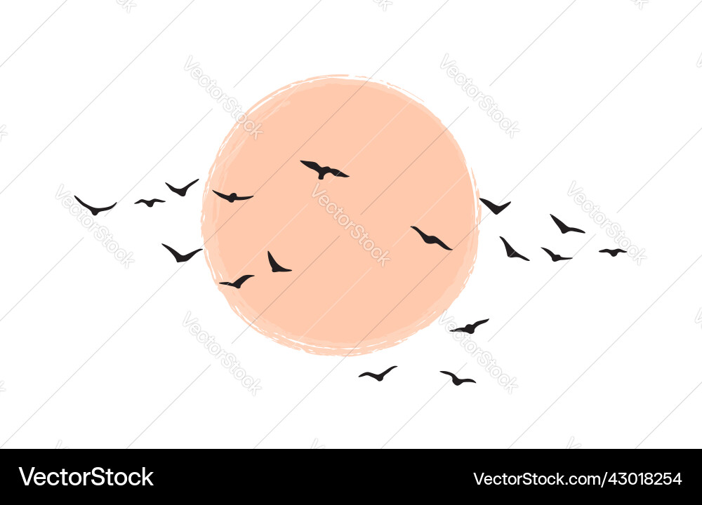 Birds group flying against the sun or moon Vector Image