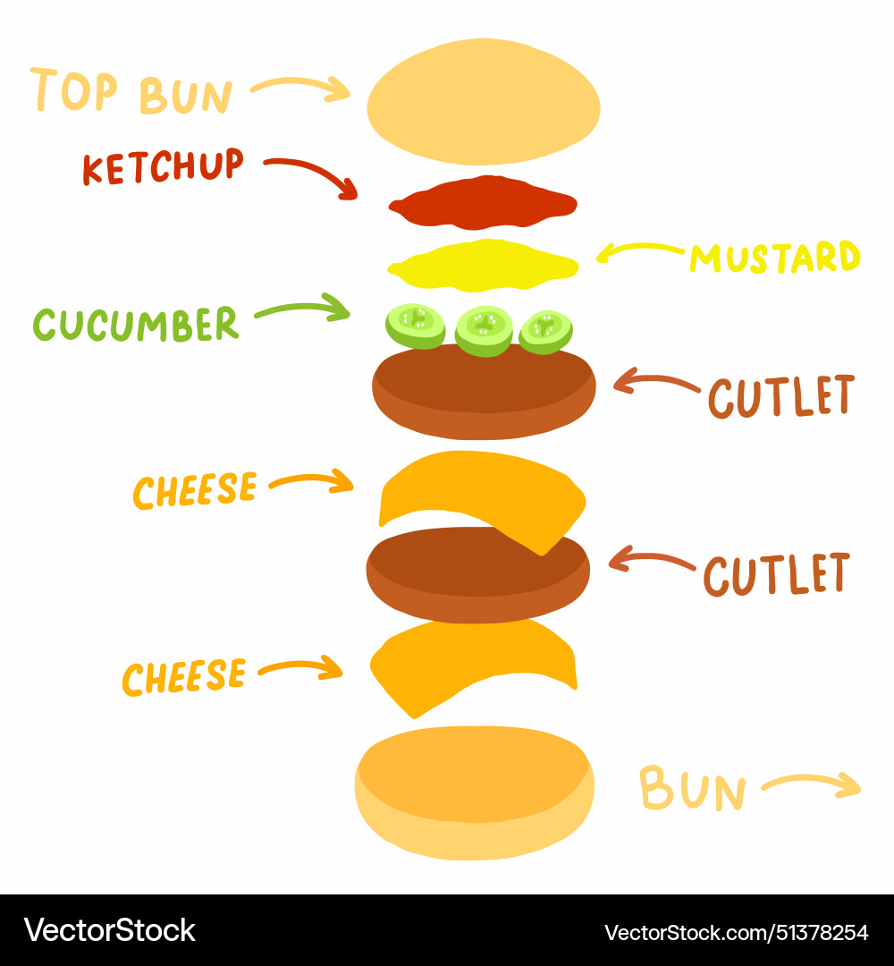Burger composition infographics ketchup mustard Vector Image