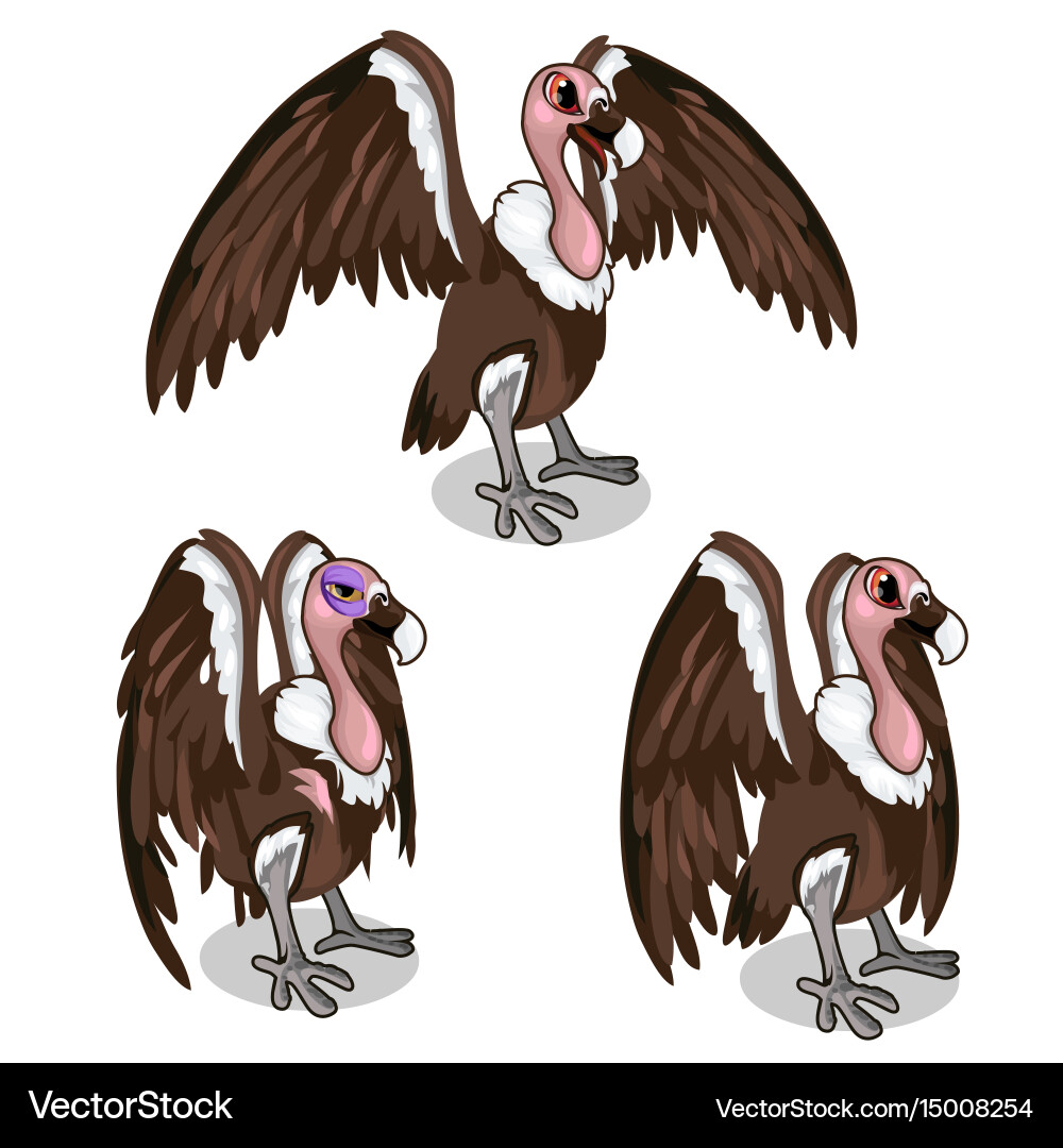 Three vultures with spread wings common and sick Vector Image