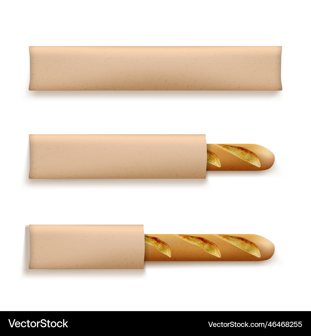 3d fresh baguette isolated on white background Vector Image
