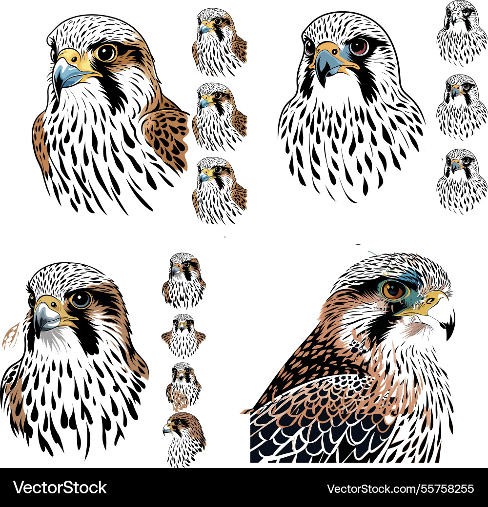 Cute artwork for falcon Royalty Free Vector Image