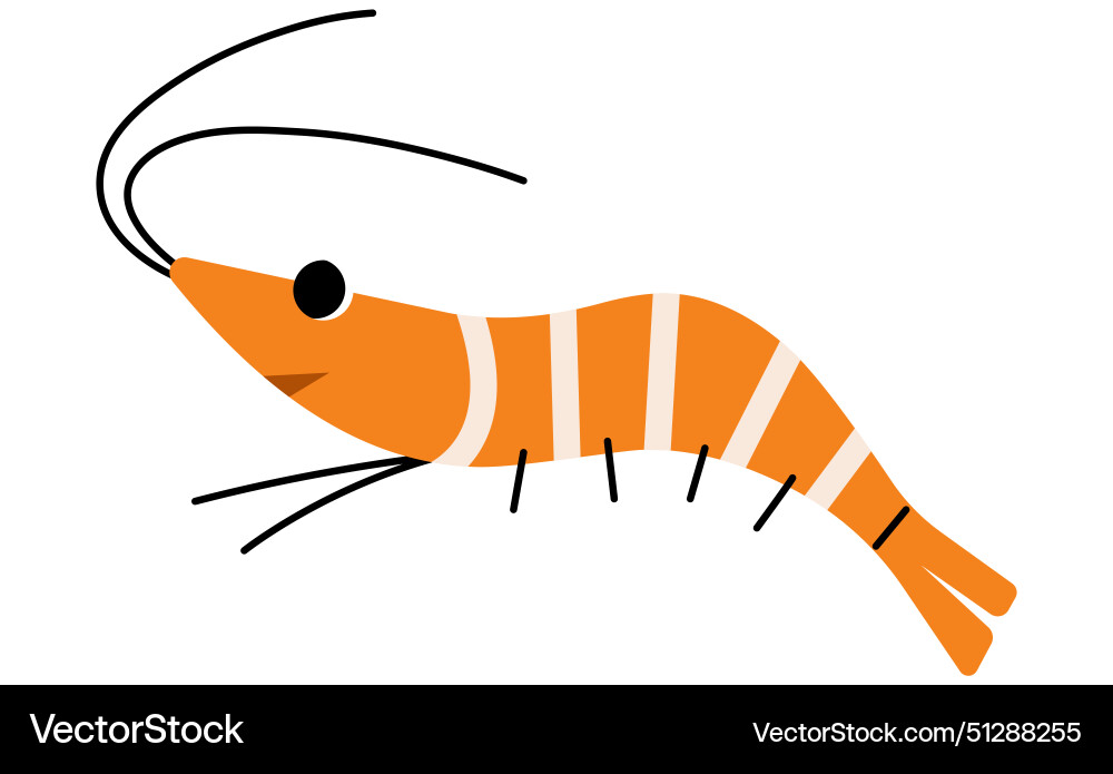 Shrimp single 1 Royalty Free Vector Image - VectorStock