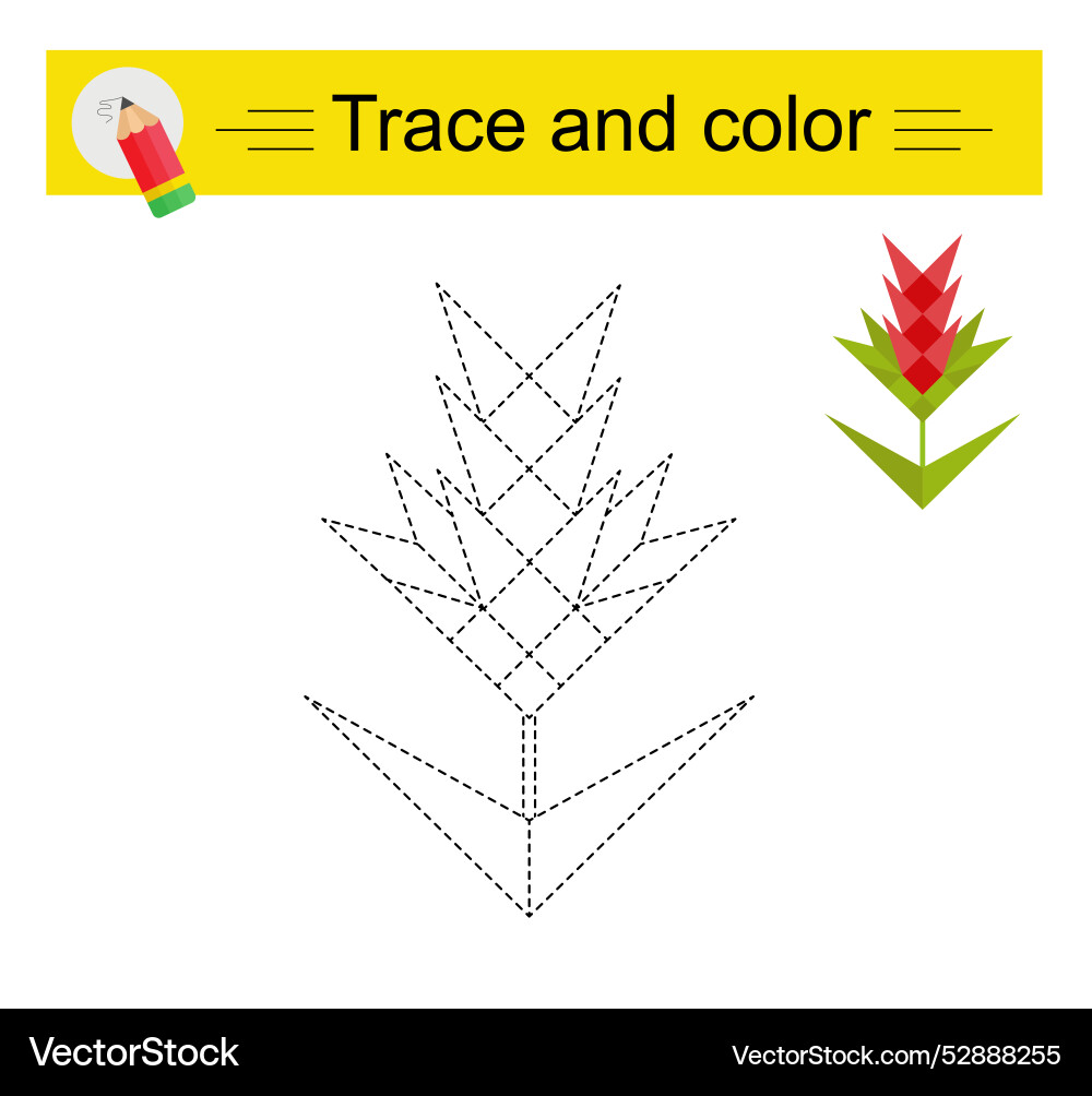 Trace and color for children preschool worksheet Vector Image