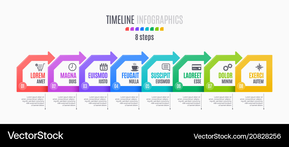 Eight steps infographic timeline presentation Vector Image