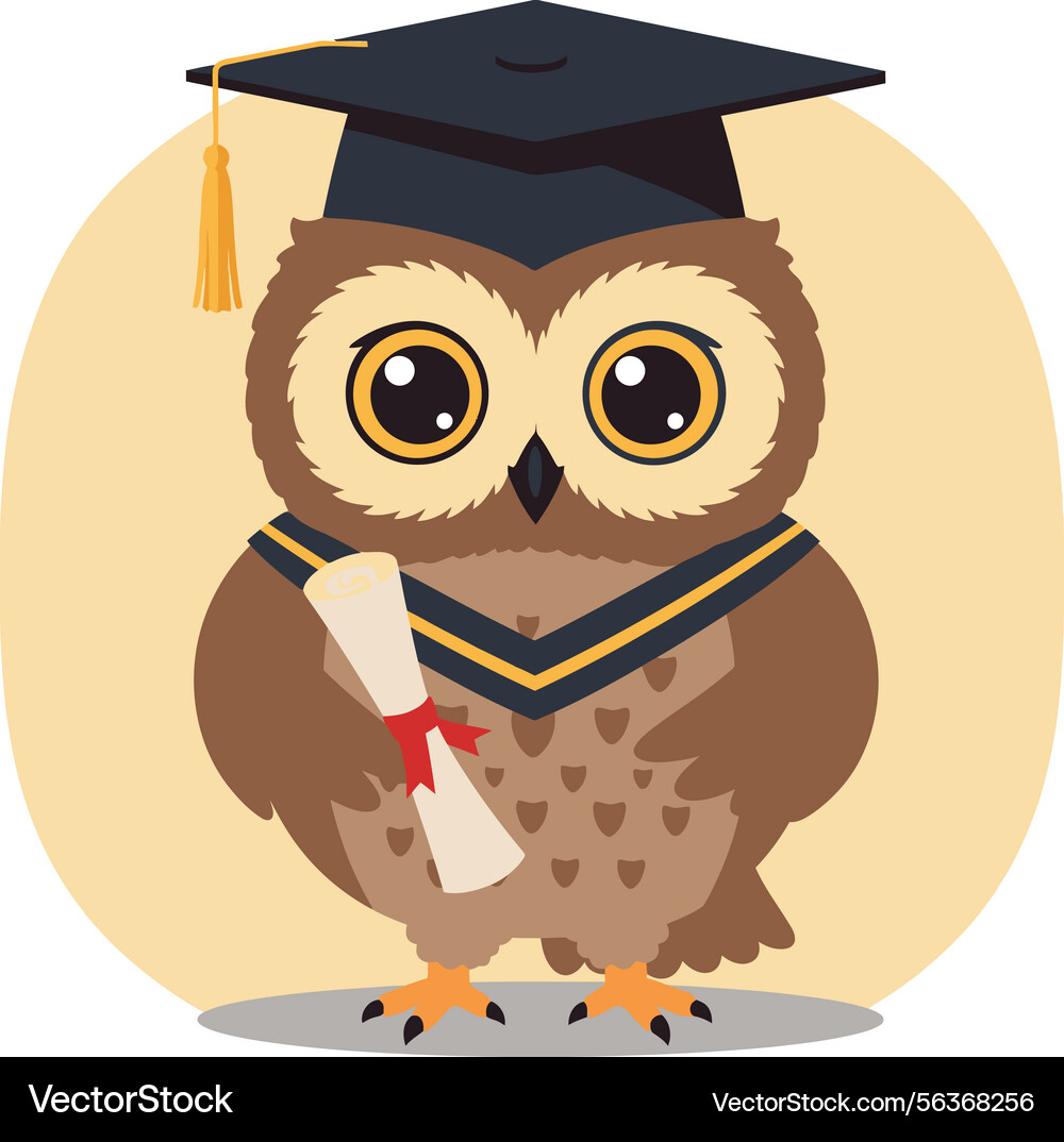 Owl with graduation cap and diploma cute Vector Image