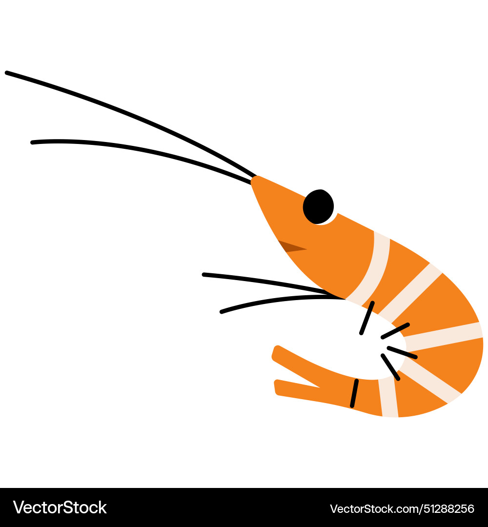 Shrimp single 2 Royalty Free Vector Image - VectorStock