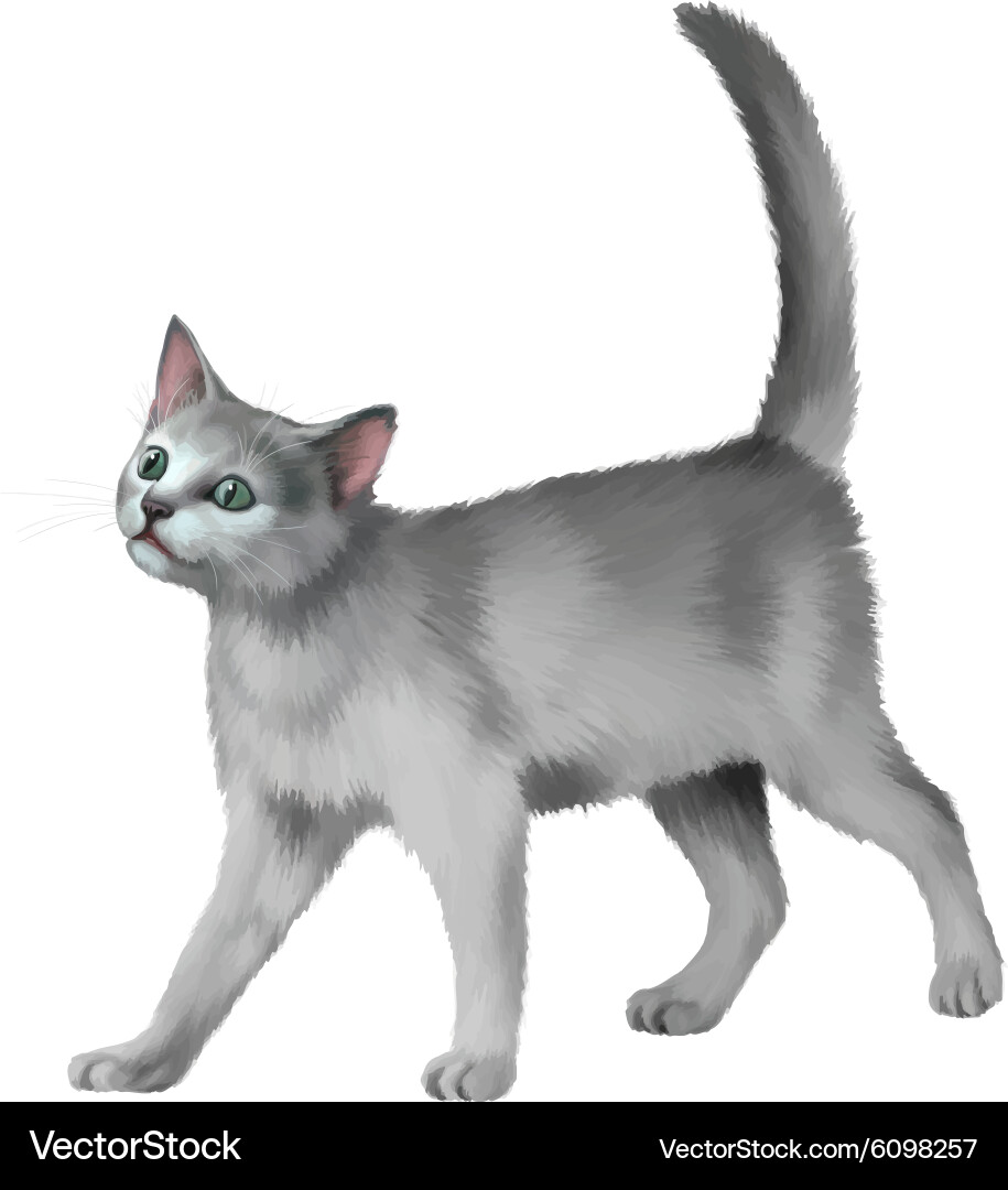 Cat Royalty Free Vector Image - VectorStock