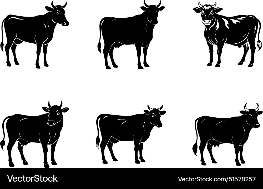 Dairy cow symbols Royalty Free Vector Image - VectorStock