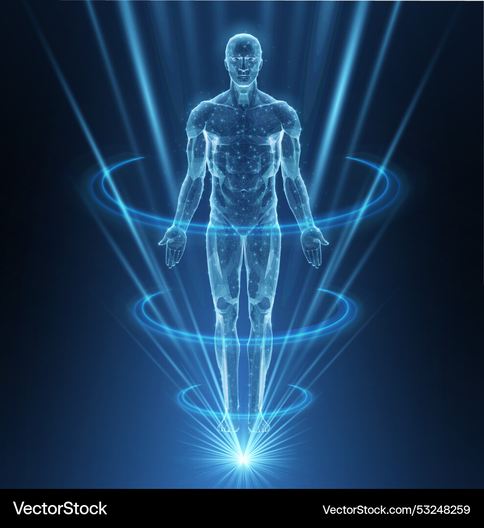 Abstract Human Anatomy Halogram Royalty Free Vector Image