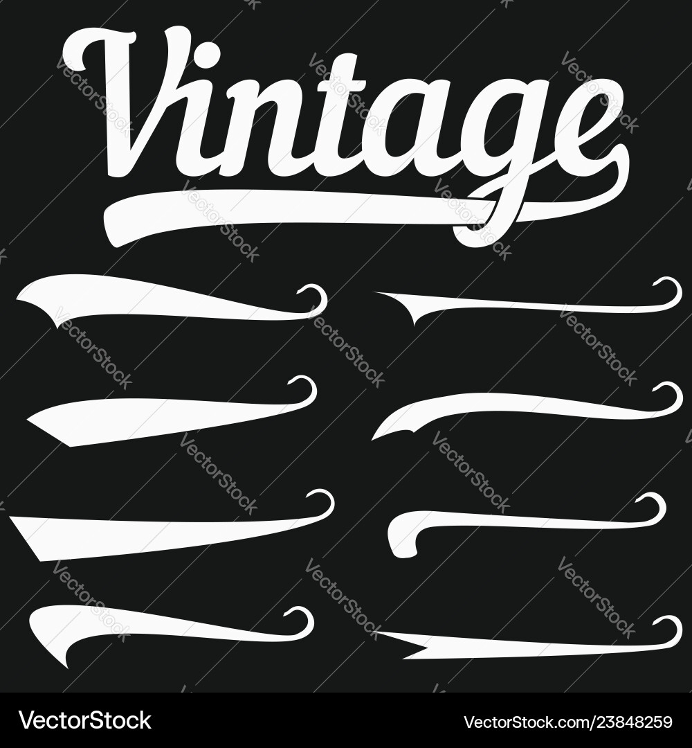 Calligraphic elements - underline swooshes Vector Image