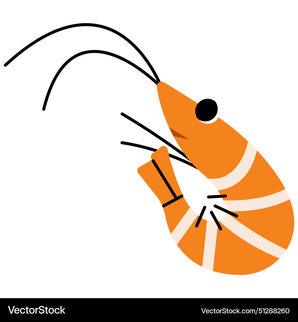 Shrimp single 5 Royalty Free Vector Image - VectorStock