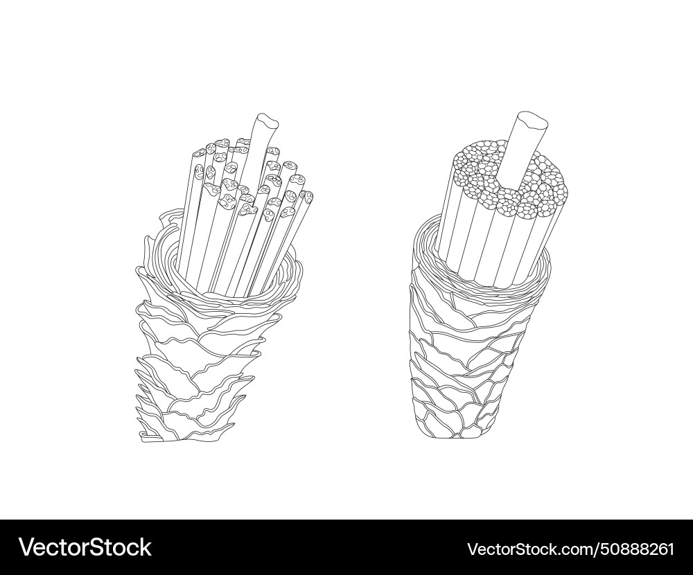 Damaged and healthy hair surface Royalty Free Vector Image