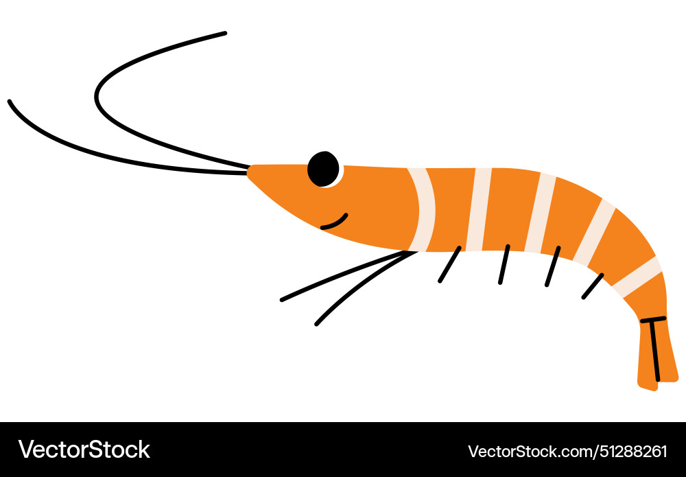 Shrimp single 6 Royalty Free Vector Image - VectorStock